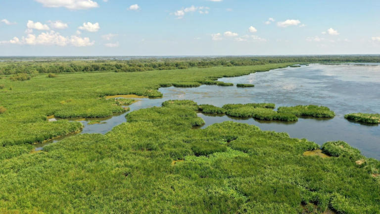 Increase in revenue sharing cap means more money for Louisiana coastal ...
