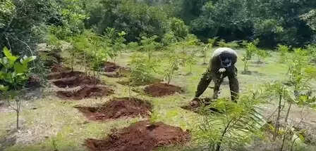 North Goa collector clears 60 forest rights claims