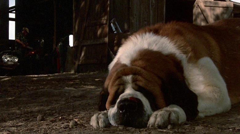 The 7 Best Stephen King Movies, According To Stephen King
