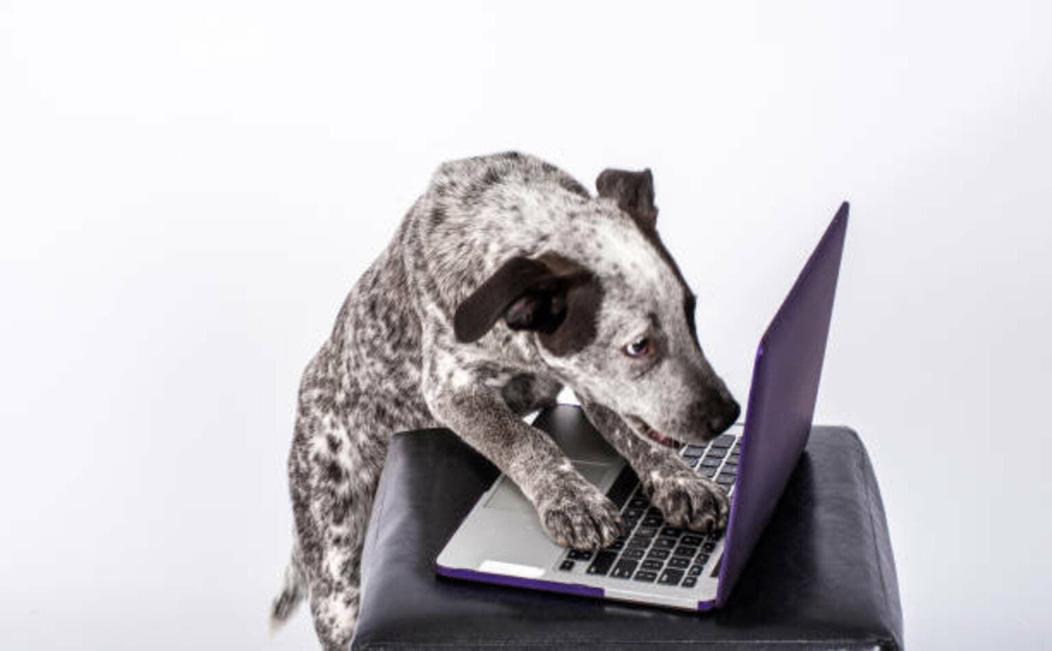 Datadog faces rising competition from Chronosphere for OpenAI business: UBS