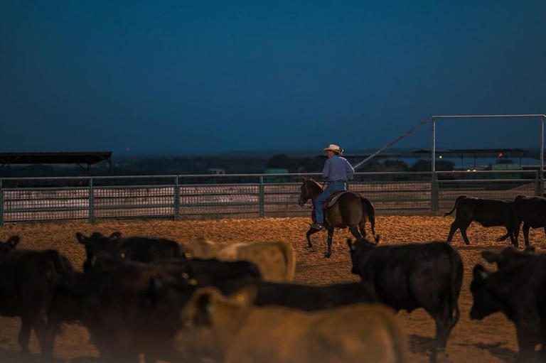 Inside Taylor Sheridan's sprawling $600 million Texas 'cowboy camp ...