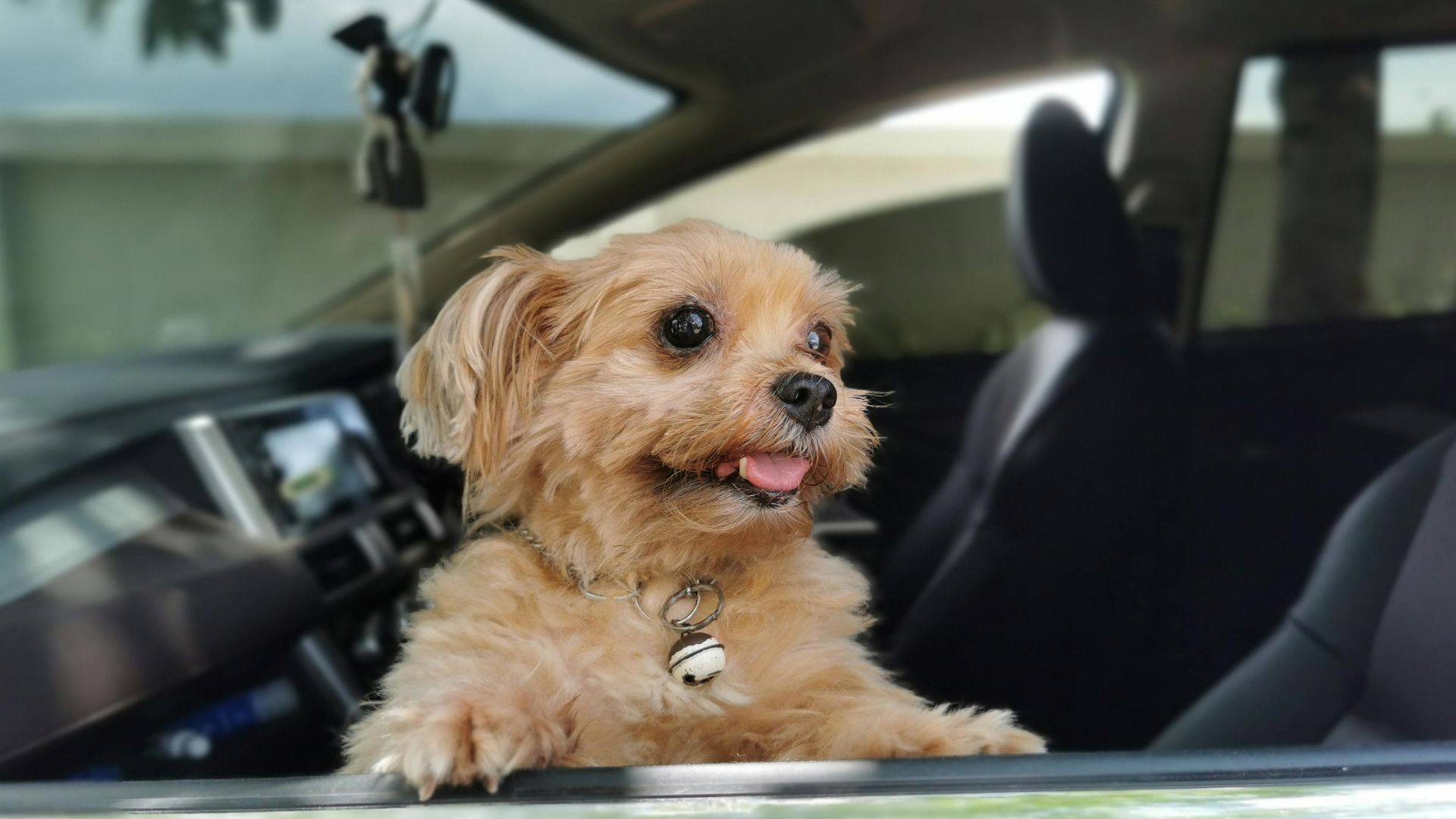 The 20 Worst Things To Spill In Your Car