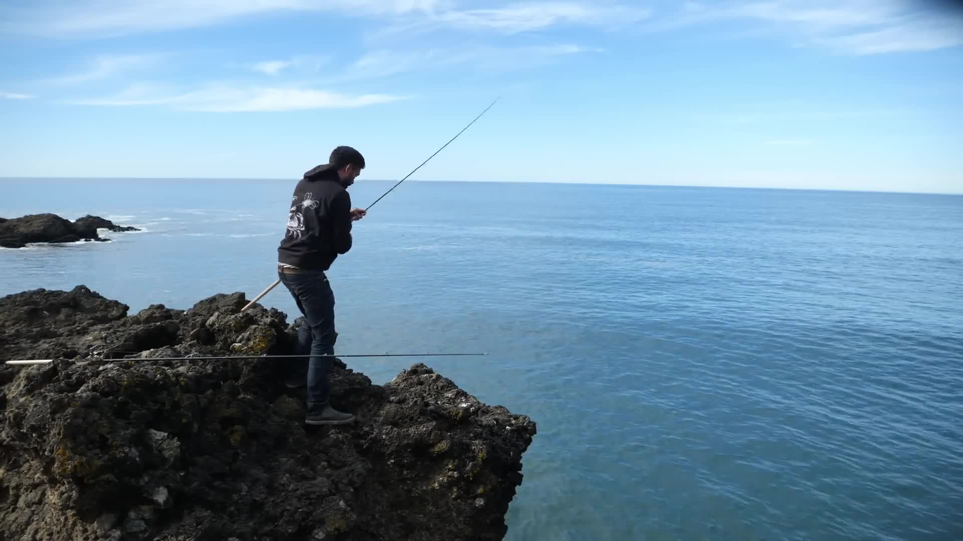 Eating Fresh Raw Scallops and Catching Big Coastal Crab