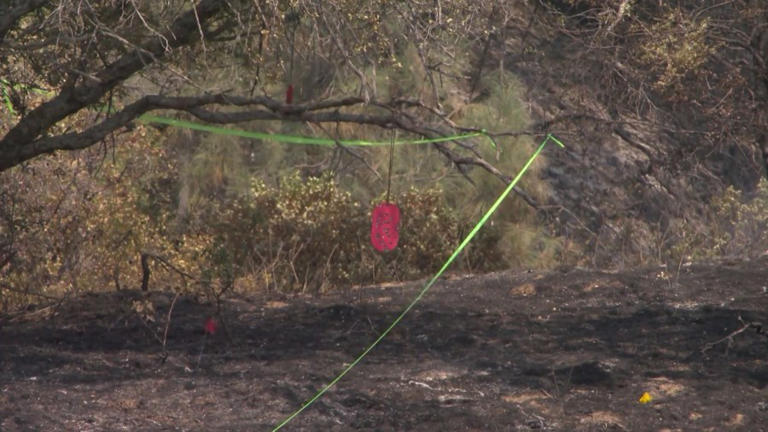 Max Fire evacuation order lifted as crews begin gaining control