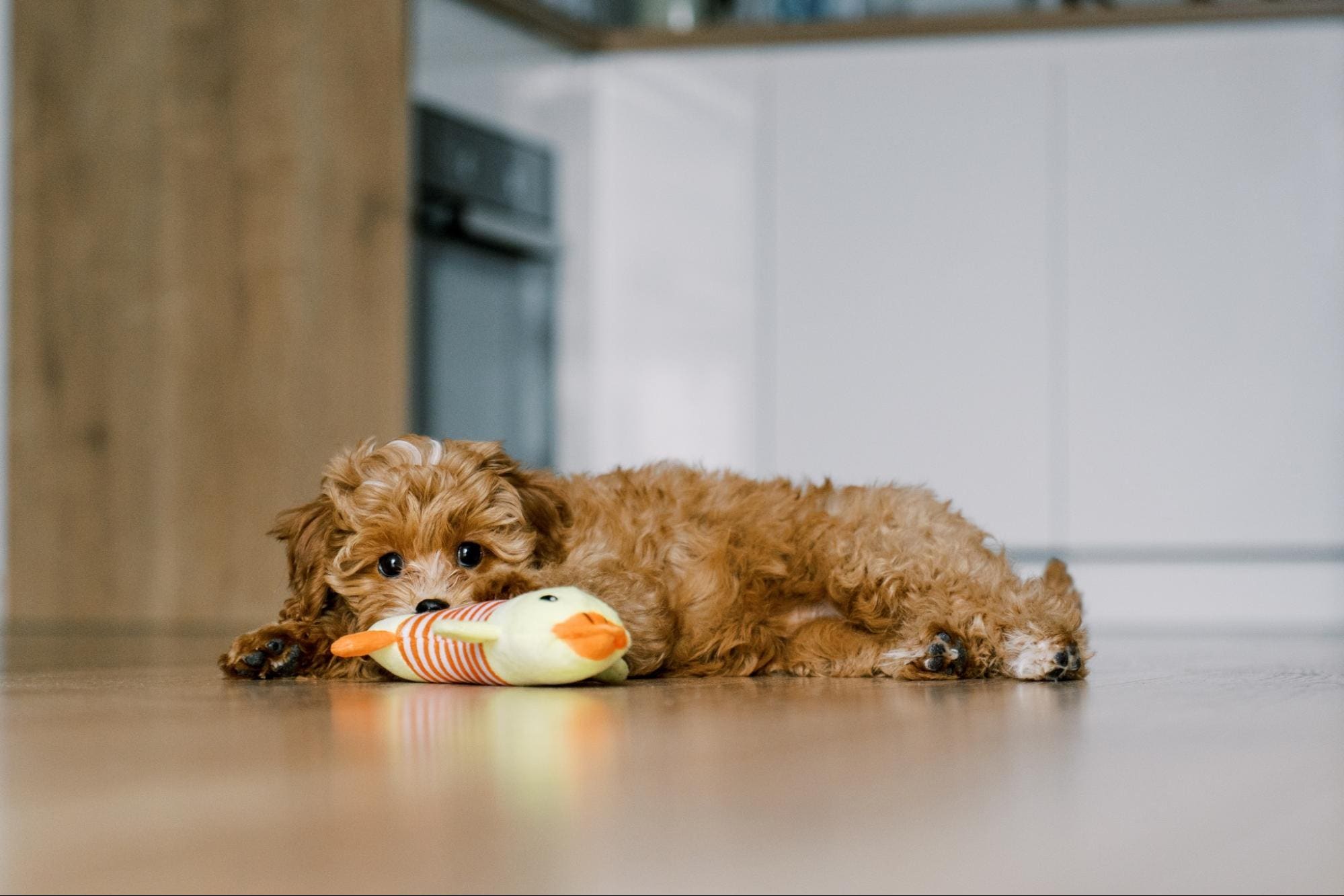 BofA Pulls the Plug on Bill Pay: Charge Ahead With The New Payment System