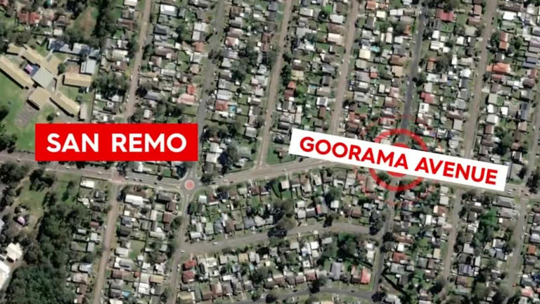 Man arrested after allegedly ramming into police car