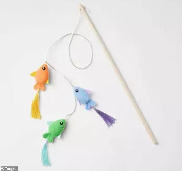 Distraught animal lover says $5 cat toy she bought from Target killed ...