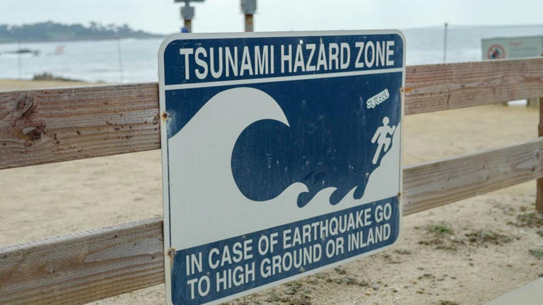 7.3 magnitude earthquake strikes Alaska, no tsunami risk along ...