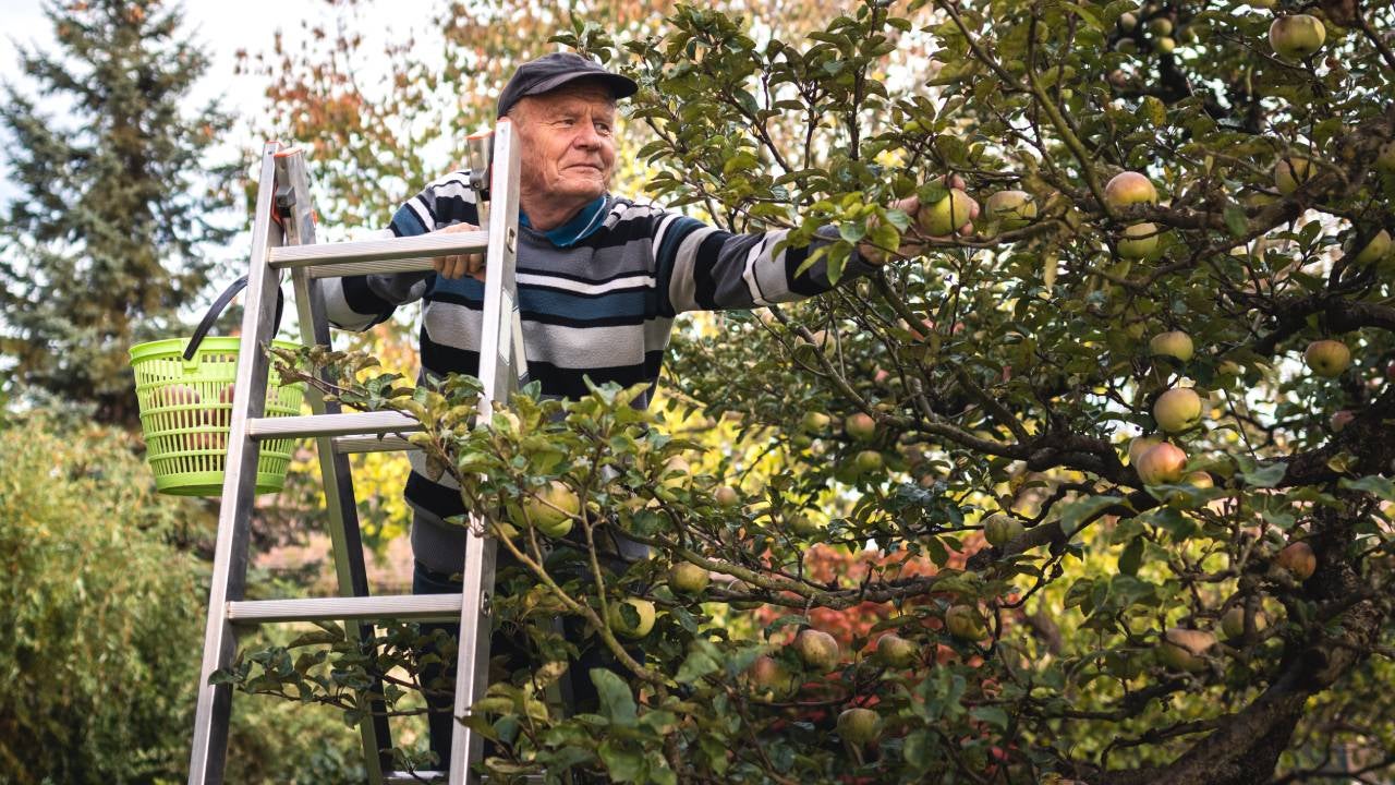 How to build a bond ladder — and the best brokers to help you do it