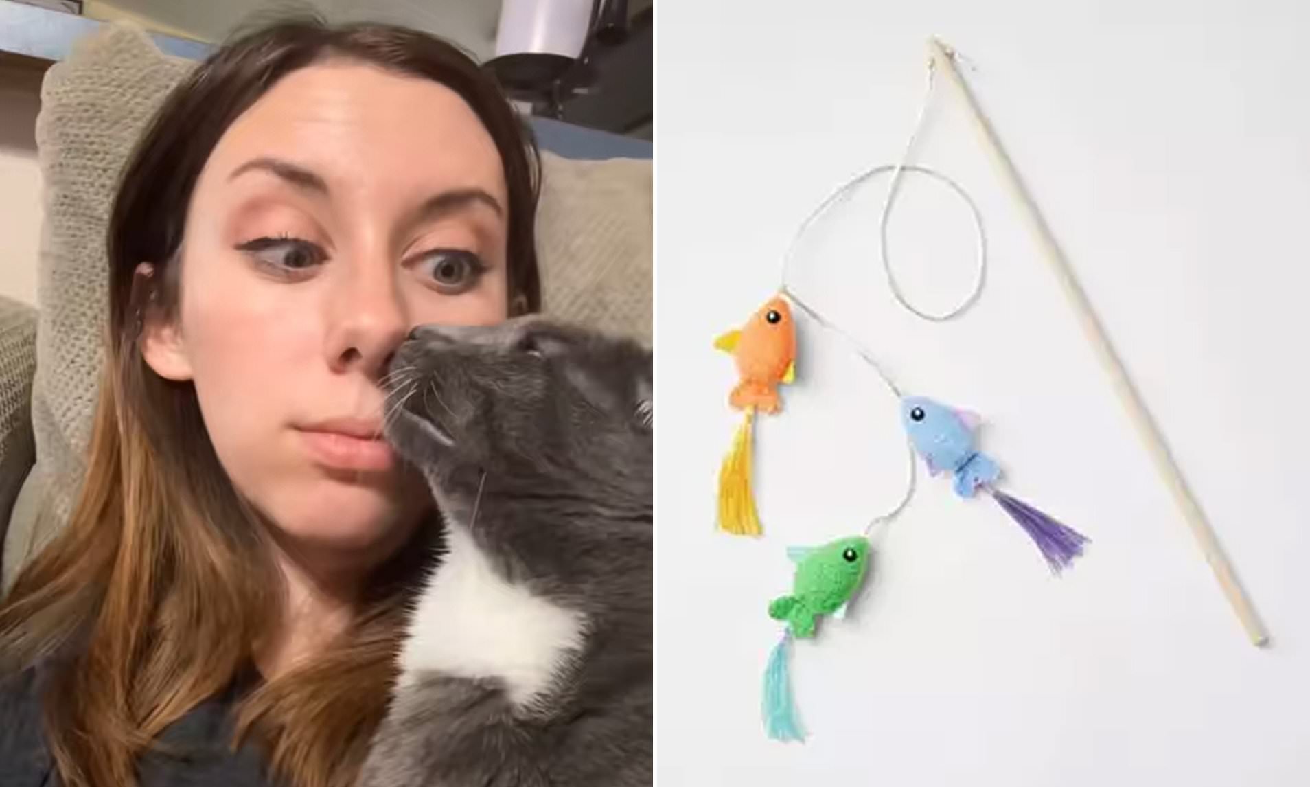 Distraught animal lover says $5 cat toy she bought from Target killed ...