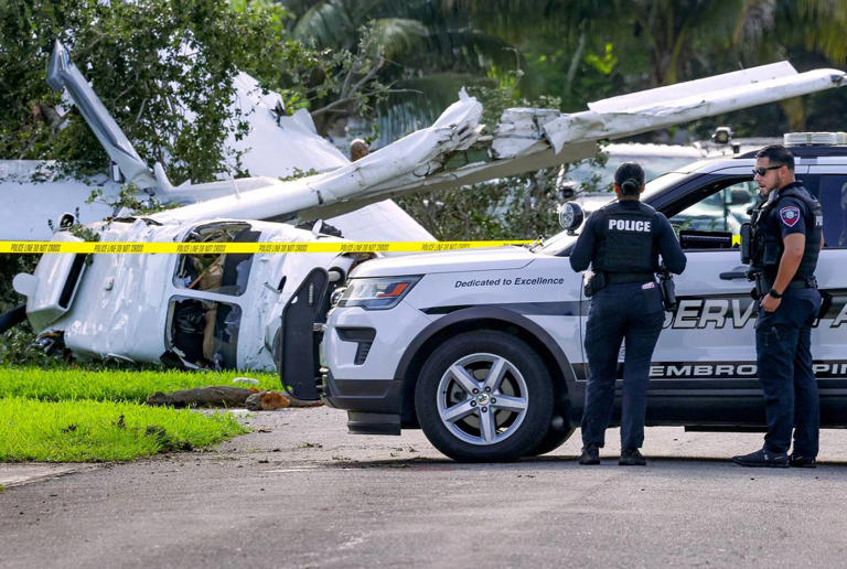 911 calls capture frantic moments after plane crashes in Pines neighborhood
