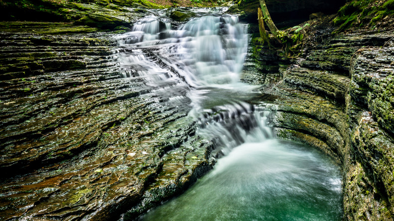 Virginia's 'Naturally Smooth' Swim Hole Hides In A Mountain Paradise ...