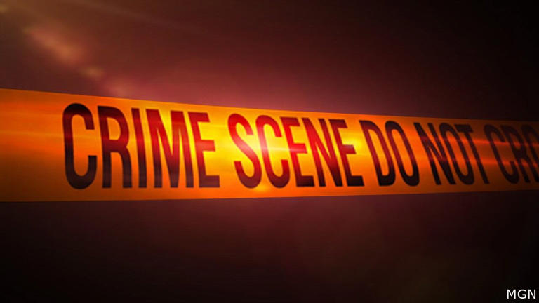 Bryan police searching for suspect in violent stabbing at car wash