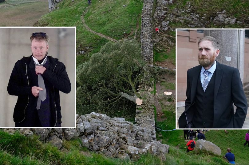 Sycamore Gap tree fellers' sentences will not be increased under ...