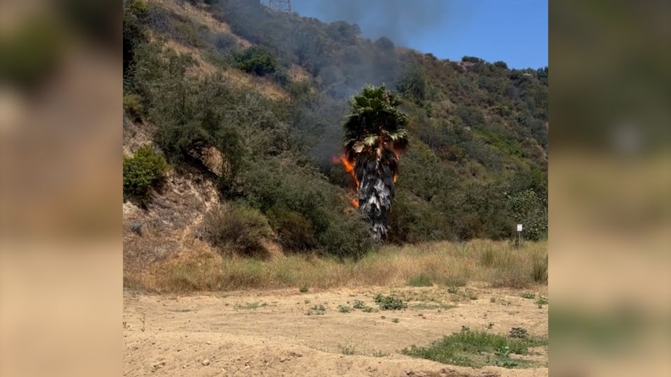 Video shows hikers confronting suspected arsonist who allegedly started ...