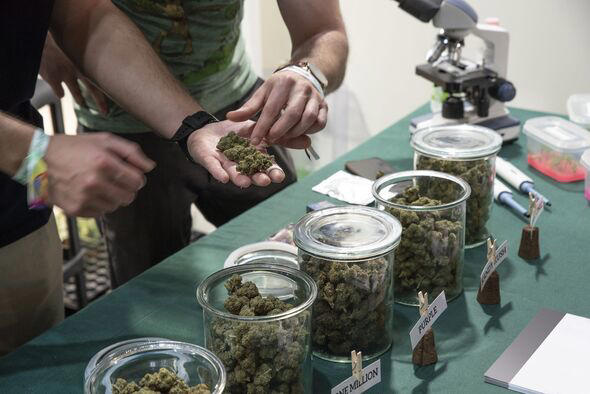 Tainted weed sold across New York as state issues urgent recall over ...