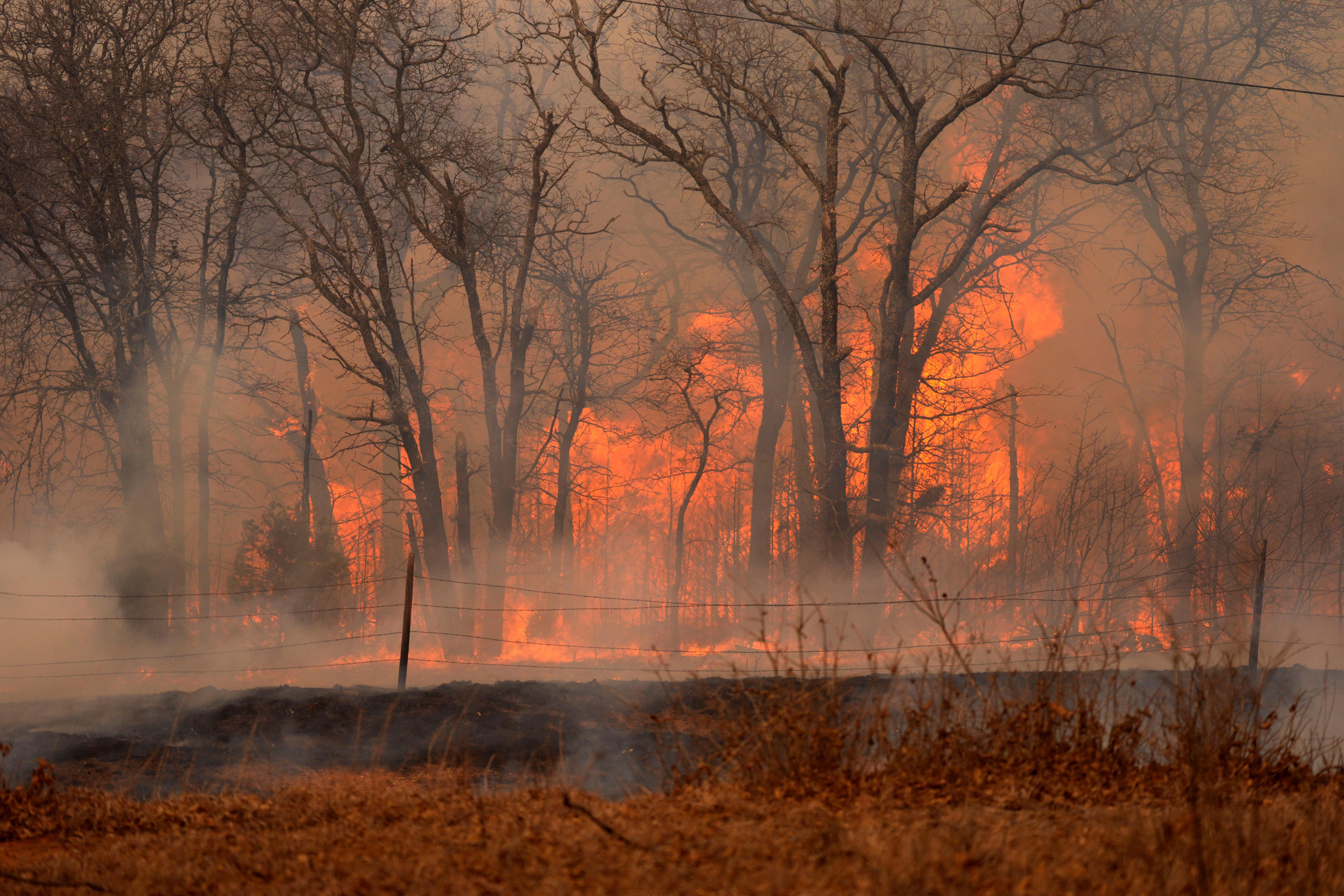 Significant wildfire potential across Oklahoma, South: See 2026 outlook