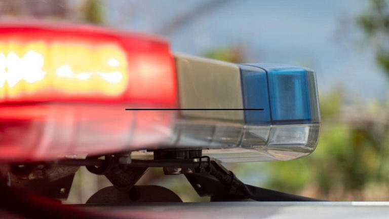 Adrian man dies after being trapped under vehicle he was working on ...