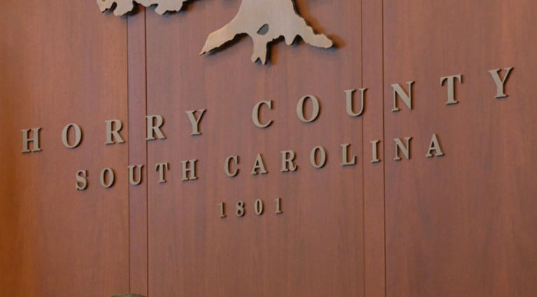 Ex-Horry County spokeswoman, police officer at center of sex scandal ...