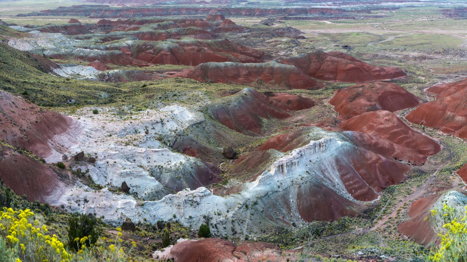 Arizona’s painted desert: A living work of art