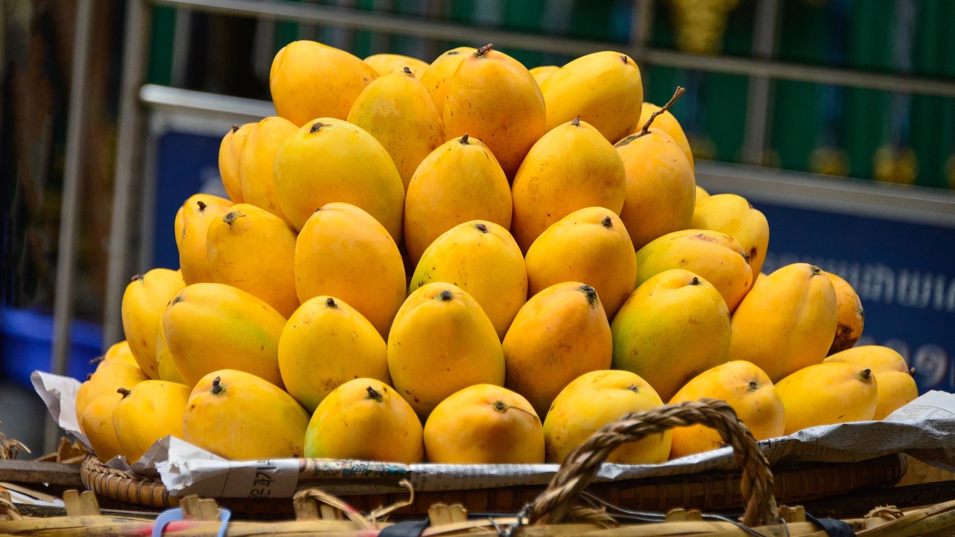 Pakistani mangoes shine in Doha with 600 maunds sold