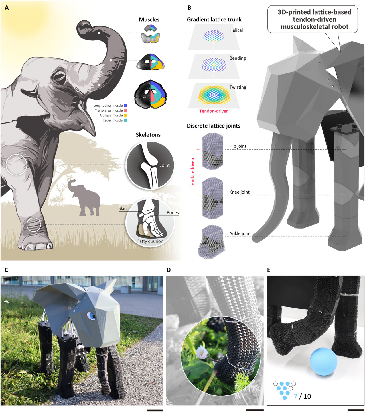 Elephant robot demonstrates bioinspired 3D printing technology
