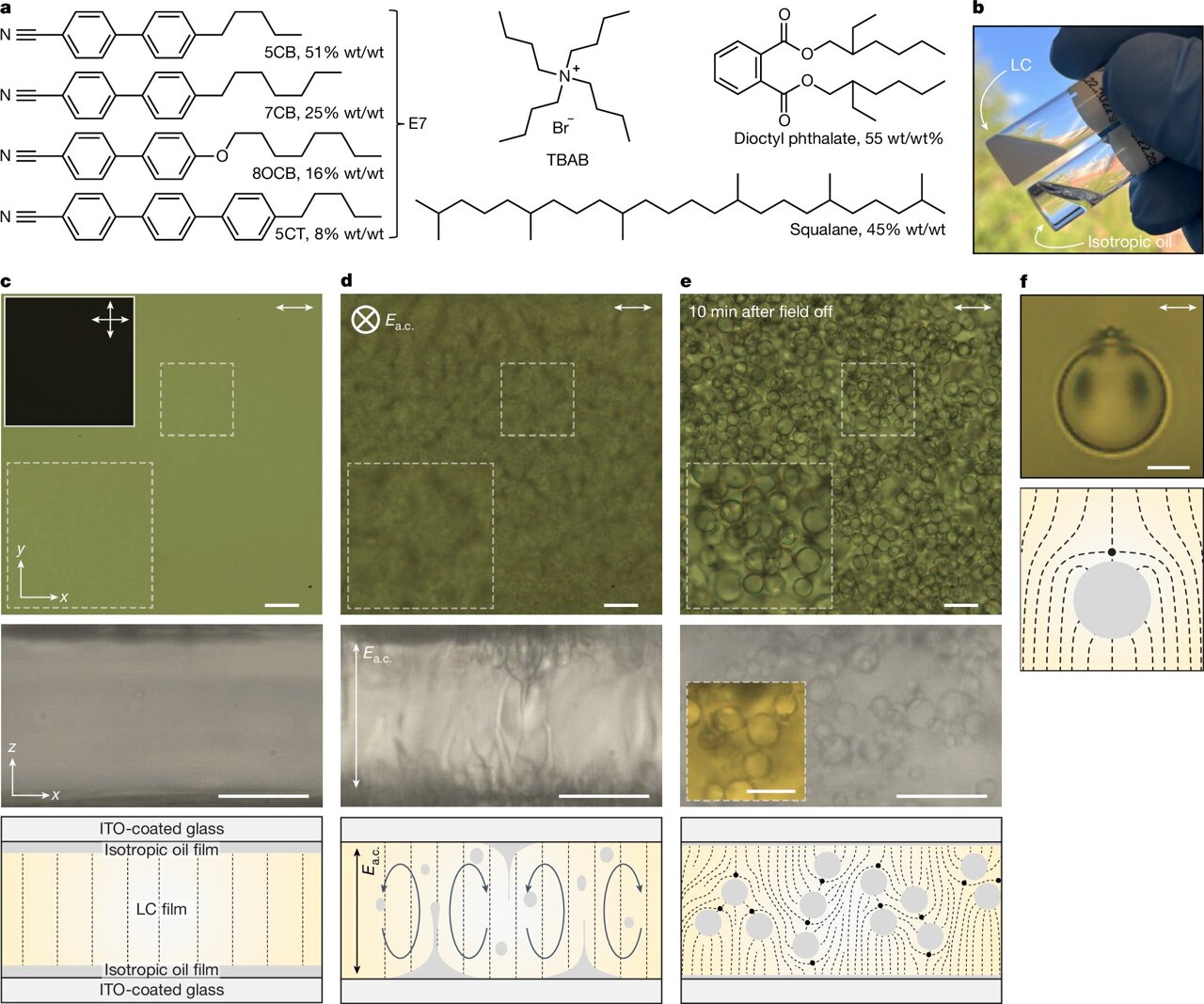 Shapeshifting liquid crystal can form emulsions, then change back