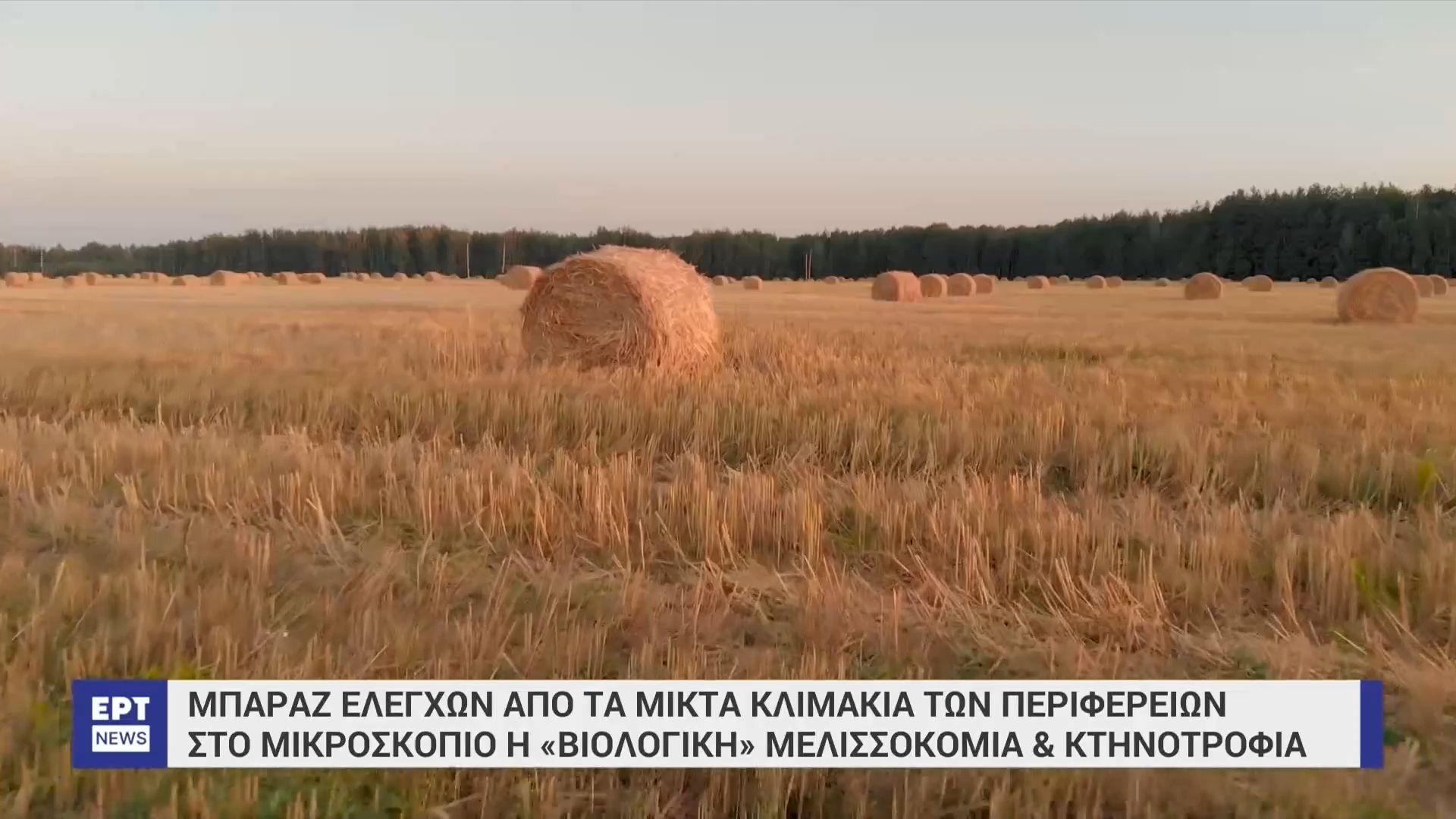 ΟΠΕΚΕΠΕ: Μπαράζ ελέγχων από τα μικτά κλιμάκια των περιφερειών – Στο ...
