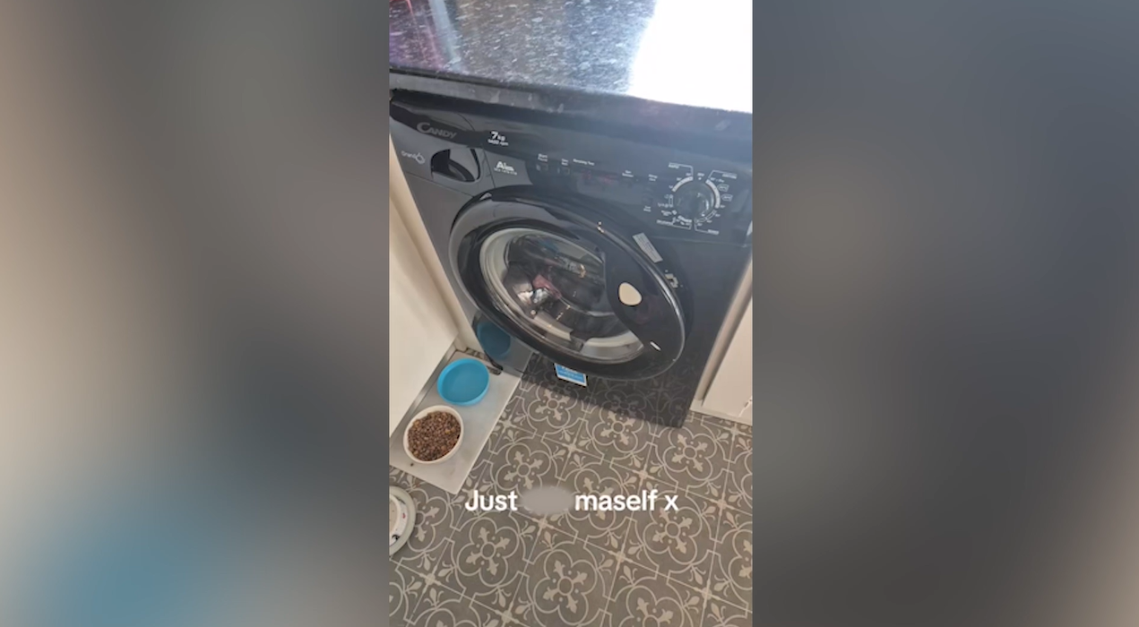 Woman ‘Panicked’ Cat Was Trapped In Washing Machine, Then She Looked Closer