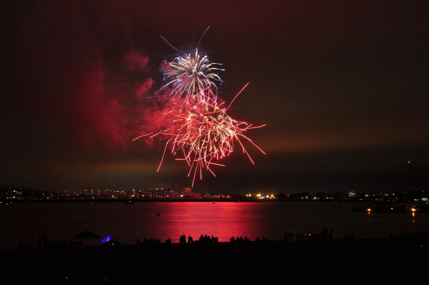 Nightly fireworks over Mission Bay disturbing residents, pets and wild ...