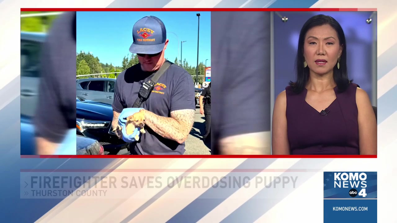 Livsmedel som är extremt kalorifattiga