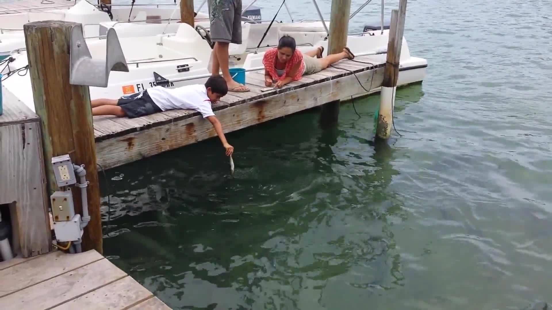 Woman Teases Tarpon Fish with Bait and Gets Bitten