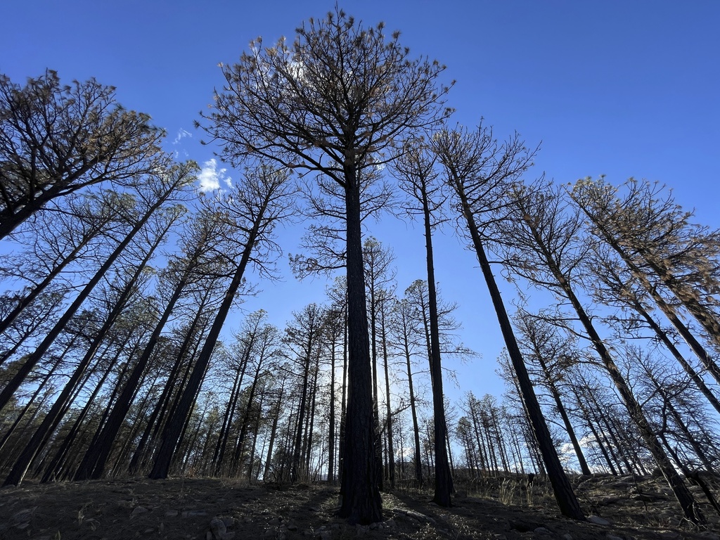 Grand Canyon blaze shows how managing a fire can go suddenly sideways