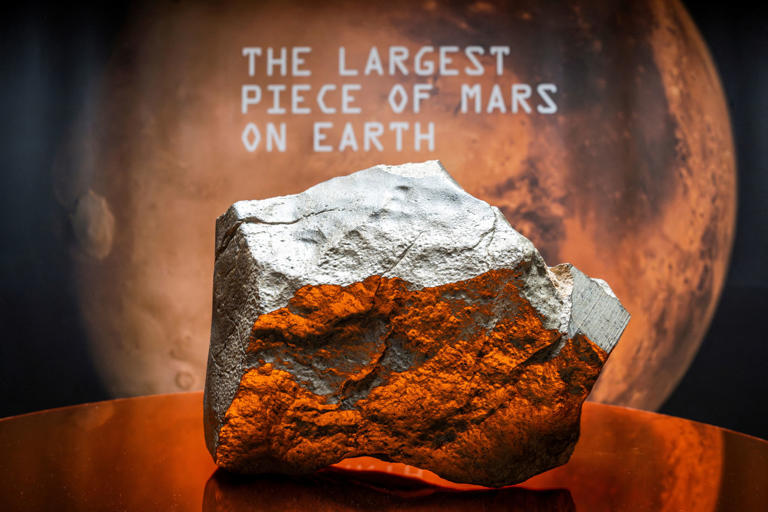 A massive rock from Mars landed on Earth. It sold for a record $5.3M.