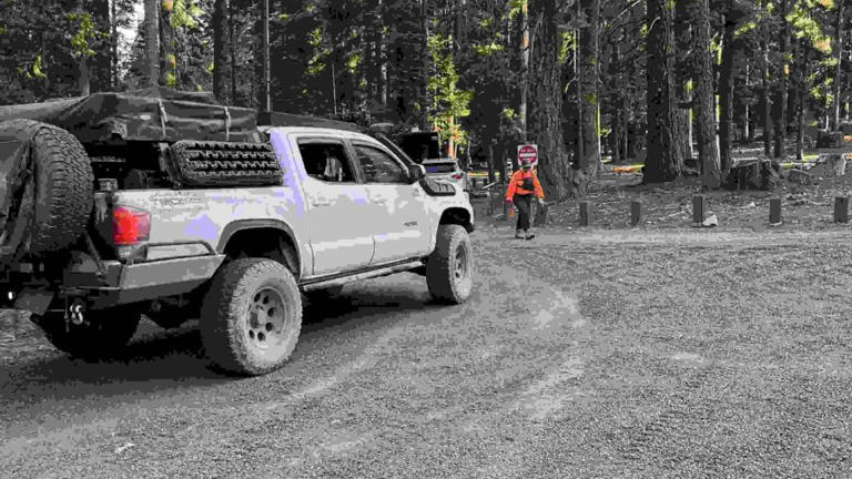 Mother, son lost in California forest rescued after leaving handwritten ...