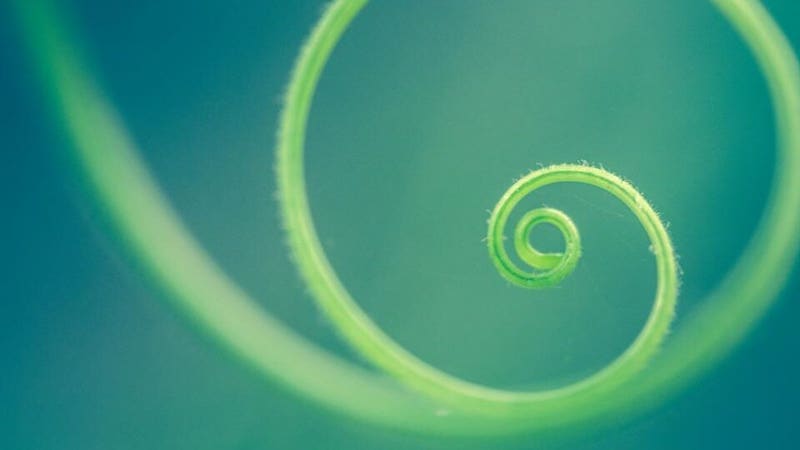 Quantitative Easing Explained