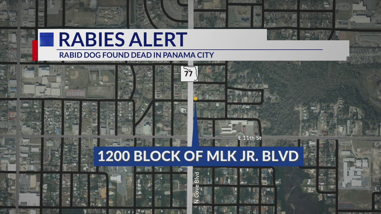 Bay County Health Department confirms another case of rabies