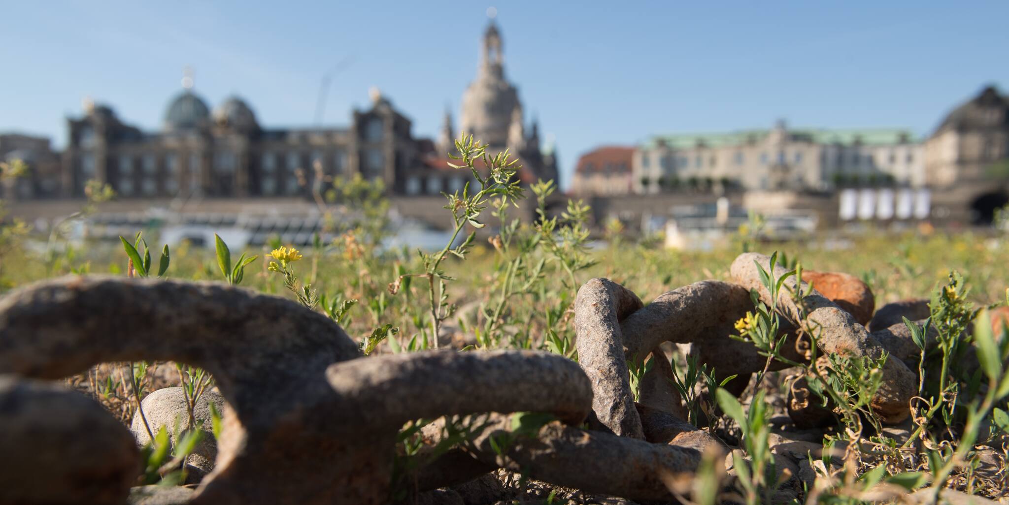 Der Wasserstand der Elbe in Dresden am 09.06.2026