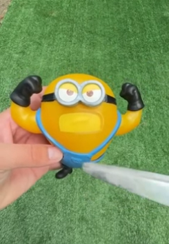 Minion Flooded My Garden