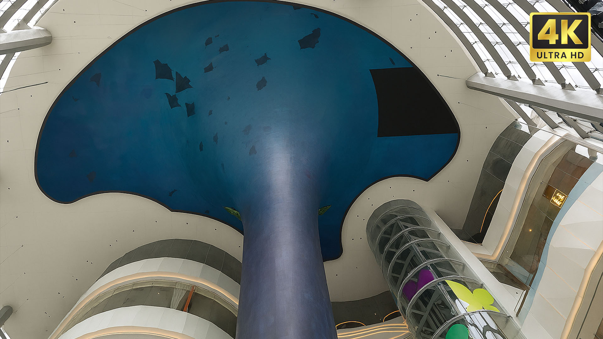 ¡Increíble! China construyó un acuario gigante dentro de un centro comercial