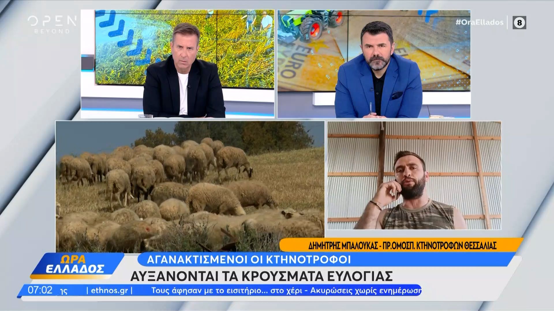 Έξαρση ευλογιάς στα πρόβατα