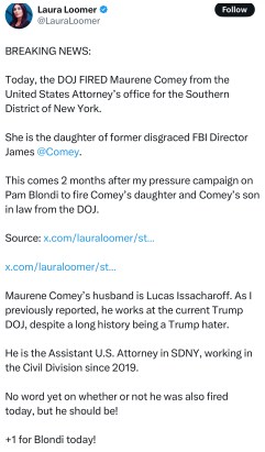 Maurene Comey, Epstein Prosecutor and Daughter of Former FBI Director ...