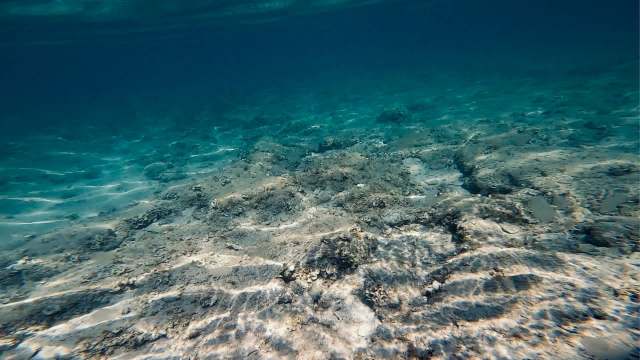 Scientists issue warning over disturbing business idea proposed for ocean floor: 'We all see how ...