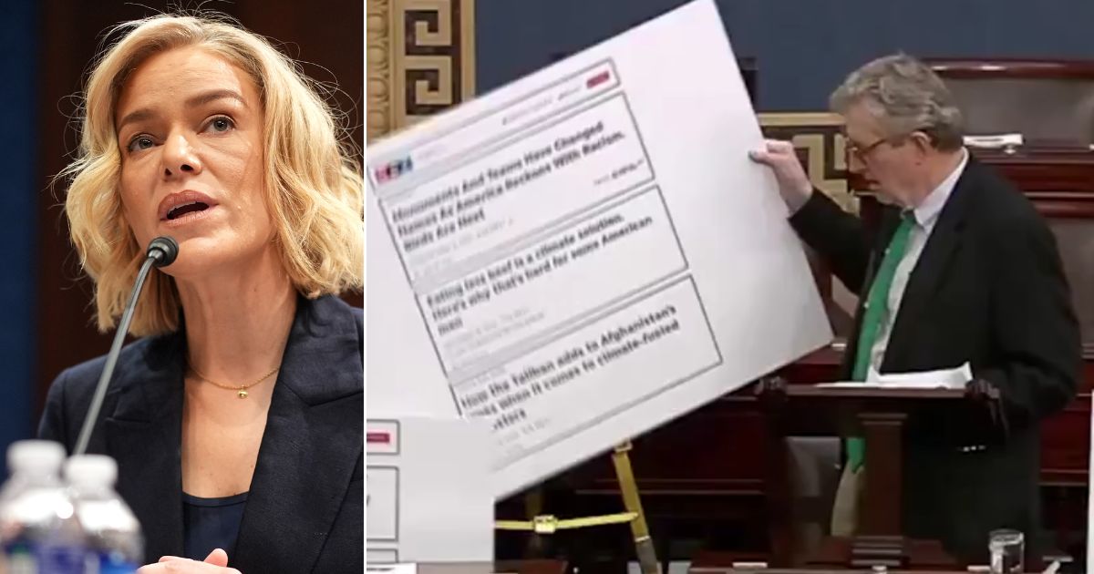 NPR CEO Foolishly Asks for Examples of Bias, Gets Hit with Dozens of ...