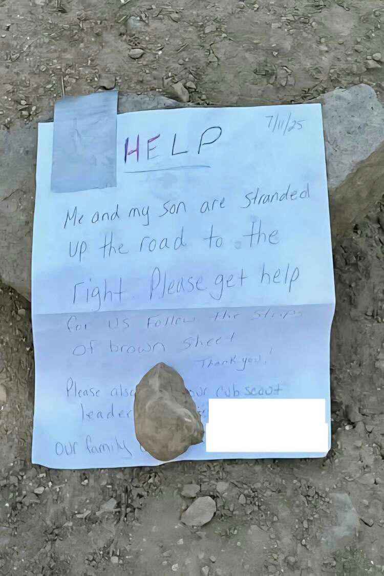 A California mother and son were lost deep in the woods. Then rescuers ...