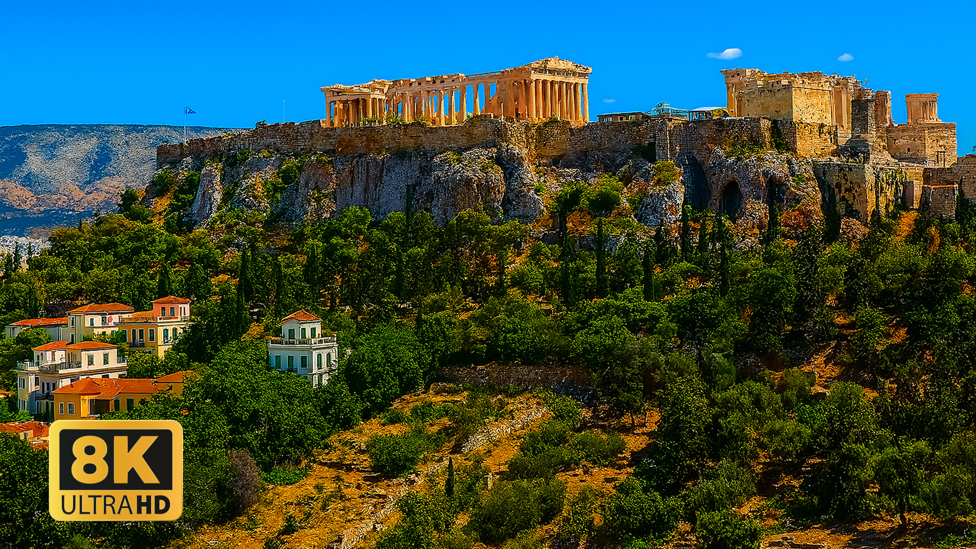 8K OLED Display Demo – ULTRA HD Color Brilliance with Dolby Vision ...