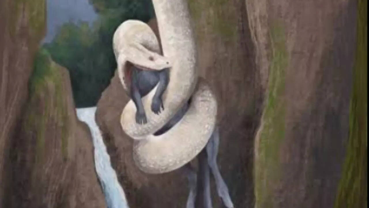 5 giant ancient snakes that once ruled the Earth