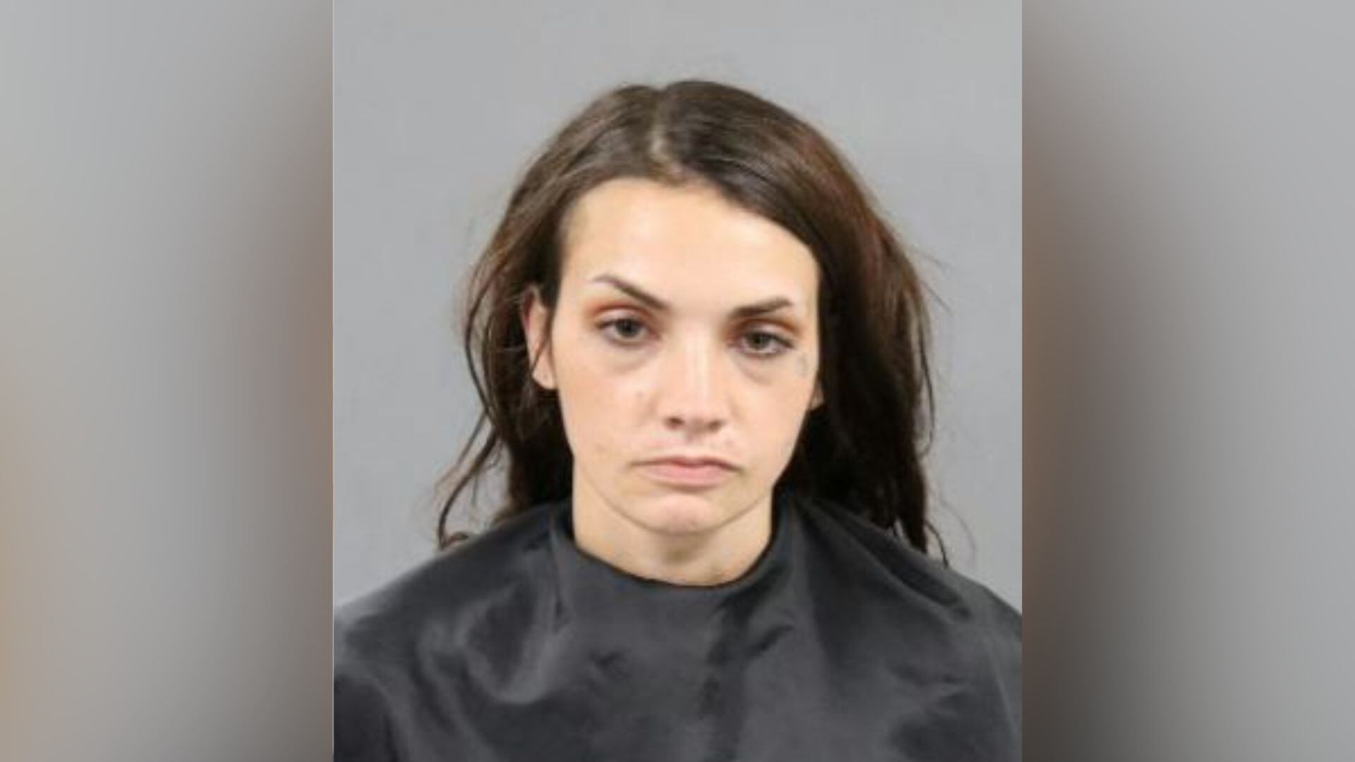 Anderson woman pleads guilty to animal cruelty charges
