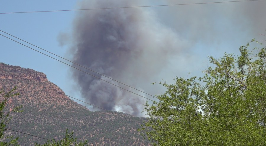 Wildfire air pollution: what it is, and how to stay safe