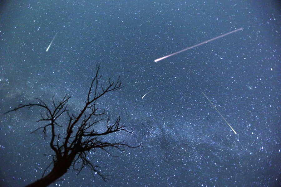 Perseid meteor shower set to begin: How to view